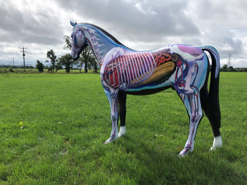 Life Size Model Animals for sale online. Art Animals by Horn Imports