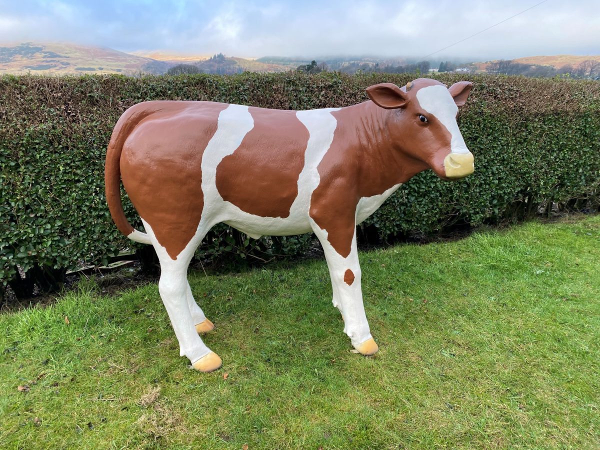 Life Size Model Calf - Life Size Model Animals for sale online - Horn ...