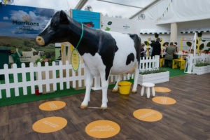 Life Size Model Milking Cow - Life Size Model Animals for sale online ...