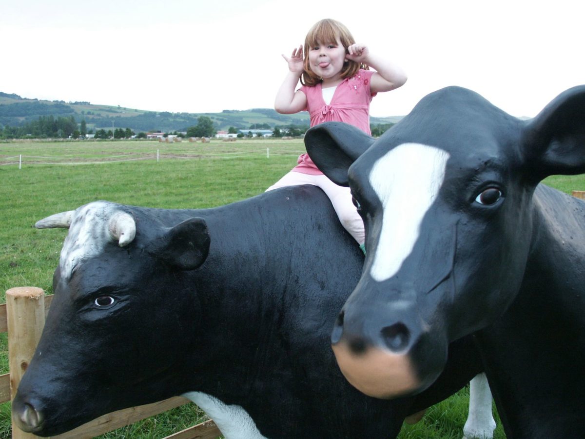 Life Size Model Bull - Life Size Model Animals for sale online - Horn ...