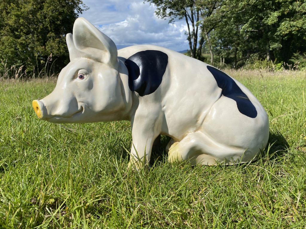 3D Model Mini Pig - Life Size Model Animals for sale online - Horn Imports