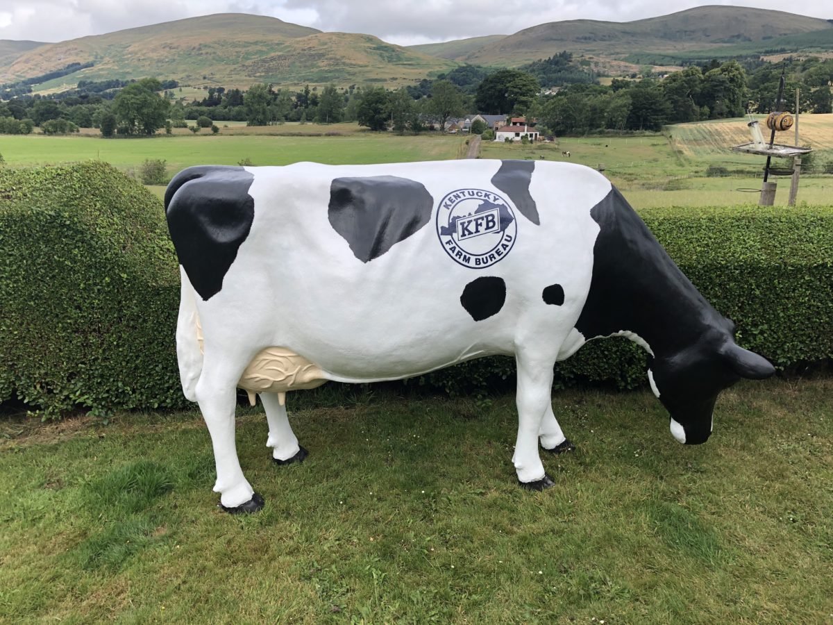 Life Size Grazing Cow Model - Life Size Model Animals for sale online ...