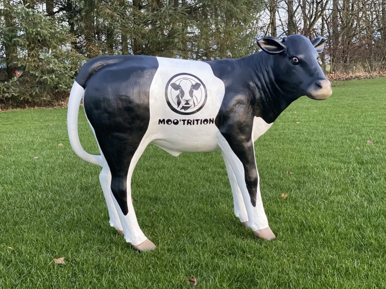 Life Size Model Calf - Life Size Model Animals for sale online - Horn ...