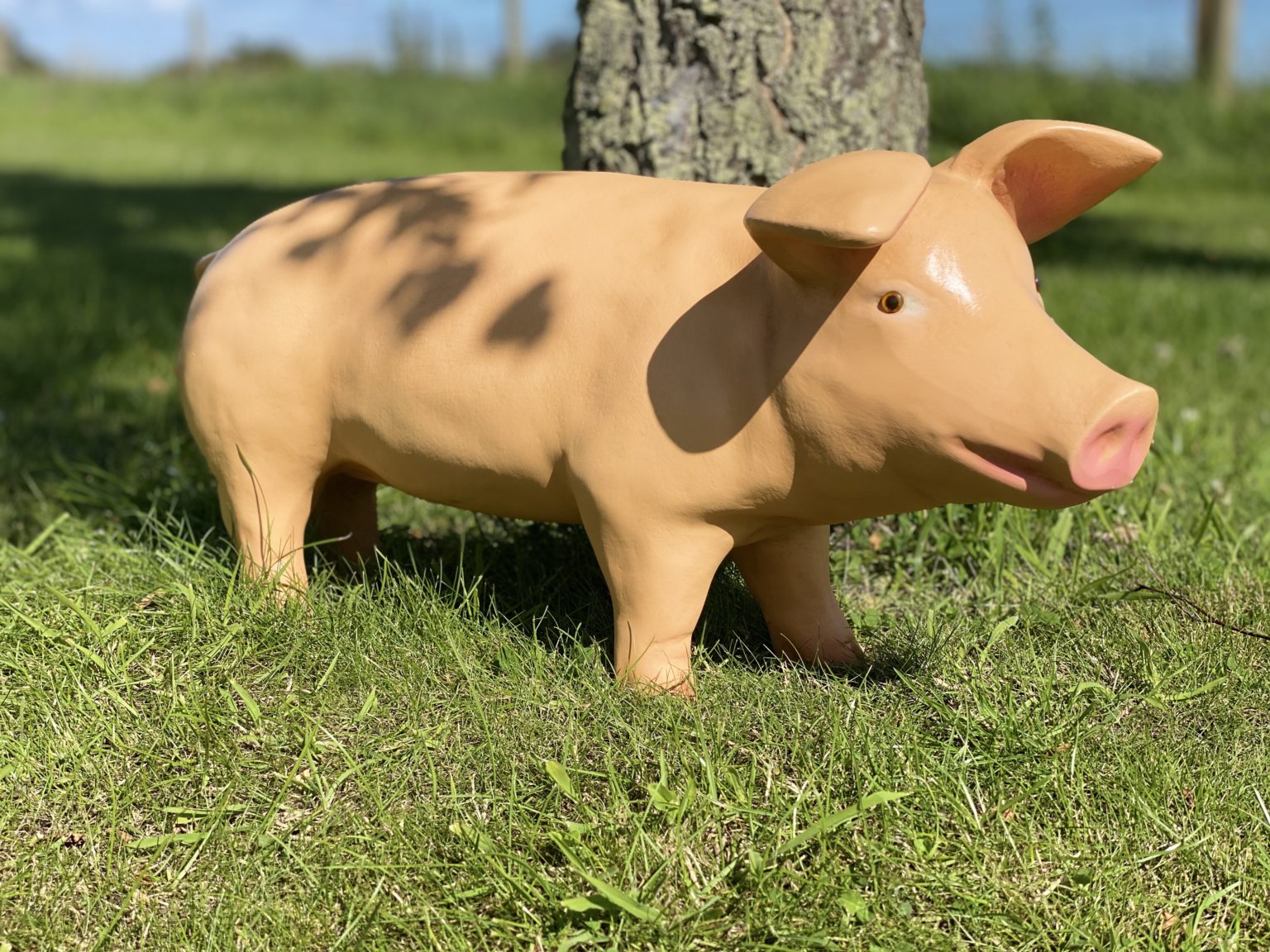 3D Model Mini Pig - Life Size Model Animals for sale online - Horn Imports