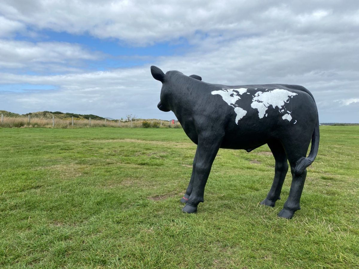 Life Size Grazing Cow Model - Life Size Model Animals for sale online ...