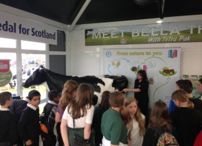 Life Size Model Milking Cow - Life Size Model Animals for sale online ...