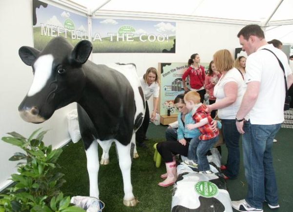 Life Size Model Milking Cow - Life Size Model Animals for sale online ...